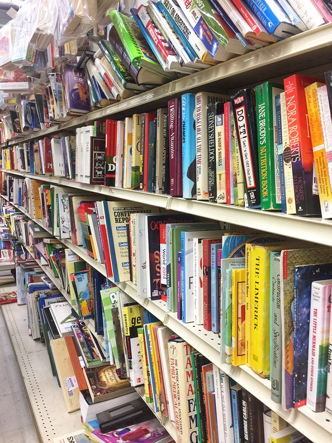 The literary corner – where dog-eared paperbacks and forgotten bestsellers create the world's most democratic library system.