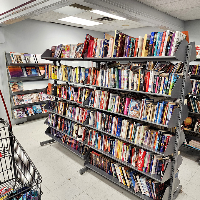 Bibliophile heaven! These shelves hold more stories than a Nashville songwriter's notebook, just waiting for their next chapter with you.