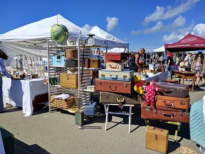 Luggage with stories to tell! These vintage suitcases once traveled the world and now wait for creative repurposing or their next adventure.