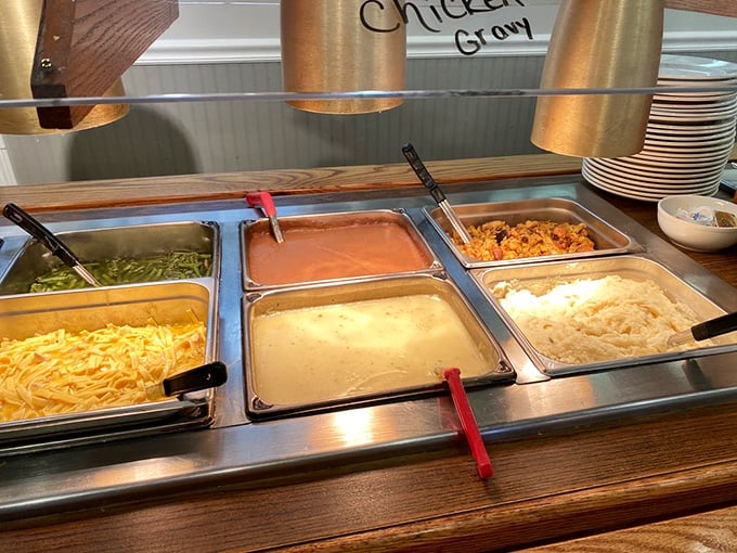 The buffet lineup – where good intentions about portion control go to die. Those noodles have been planning your downfall since breakfast.