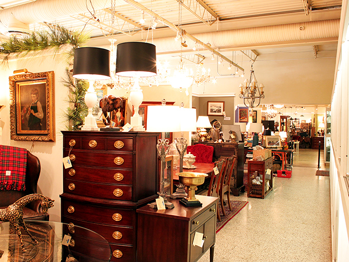 Rich mahogany pieces stand at attention like well-dressed butlers, ready to serve your storage needs with a side of historical elegance.