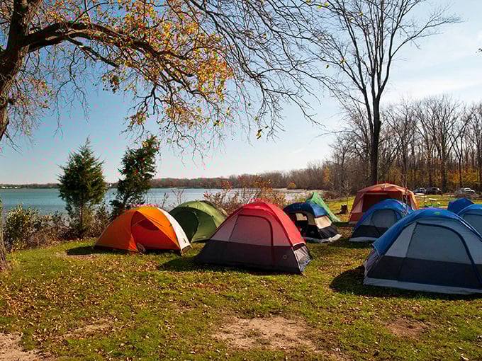 Camping with a view that beats any five-star hotel. Fall asleep counting stars instead of scrolling through emails.