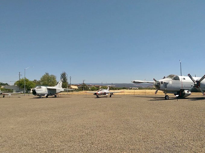 Aviation history stands proudly at Chico Air Museum, where retired aircraft tell tales of daring pilots and engineering marvels.