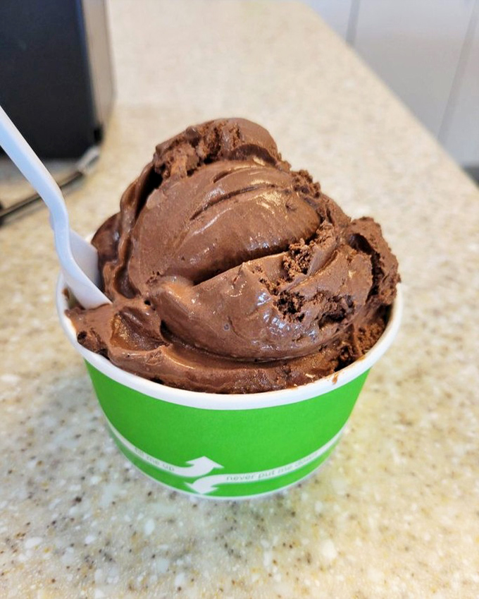 Chocolate discs and peanuts swimming in caramel sauce—this isn't just dessert, it's what I imagine winning the lottery would taste like if feelings had flavors.