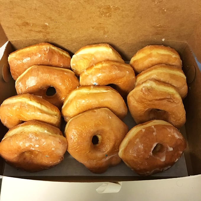 The classic glazed donut—deceptively simple, impossibly perfect. That golden-brown exterior gives way to pillowy softness inside.