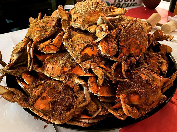 Behold the Old Bay-dusted mountain of steamed crabs—a glorious mess worth every minute of the shell-cracking labor of love.