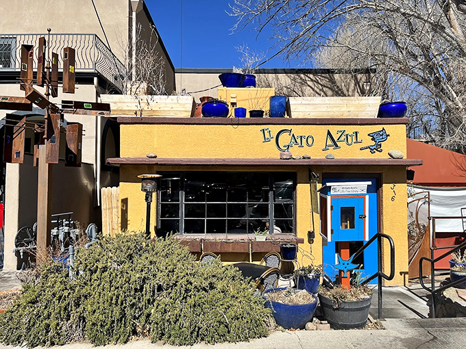 El Gato Azul brings colorful Mexican flair to downtown, making taste buds dance the salsa.