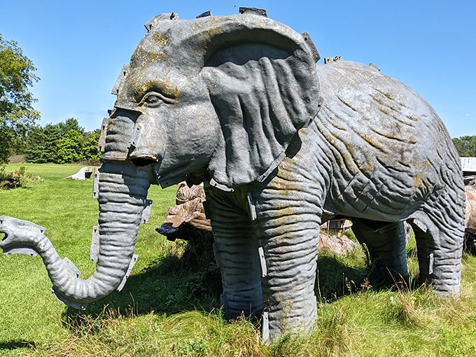 The elephant in the field that everyone actually wants to talk about. This gentle giant has seen better days but maintains a quiet dignity among the tall grass.