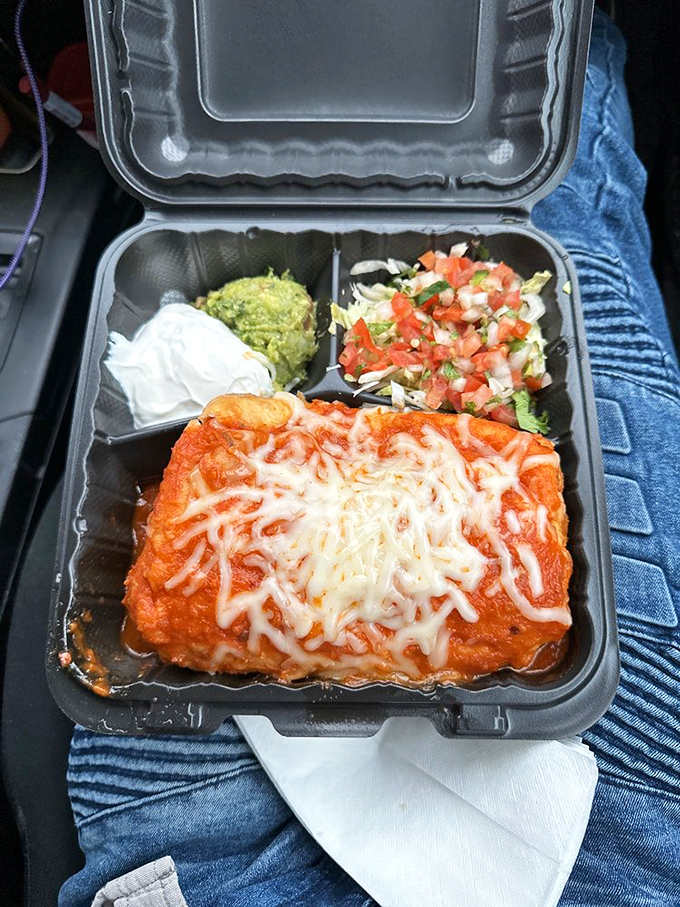 Enchiladas bathed in sauce so rich it could buy a yacht. The melted cheese pulls away in strings that would make a violinist jealous.