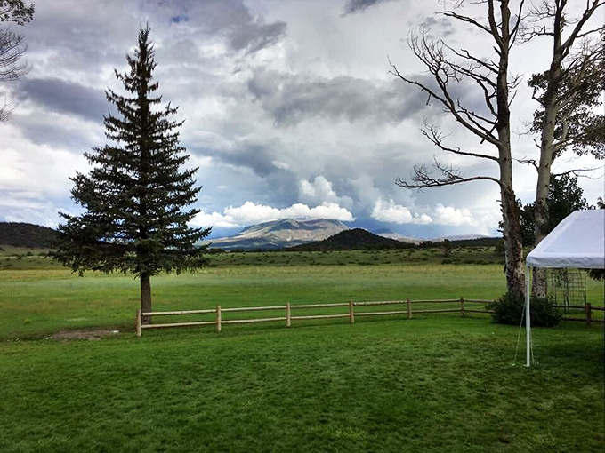 Rolling ranch land spreads like a green carpet where cattle outnumber traffic lights by impressive margins.