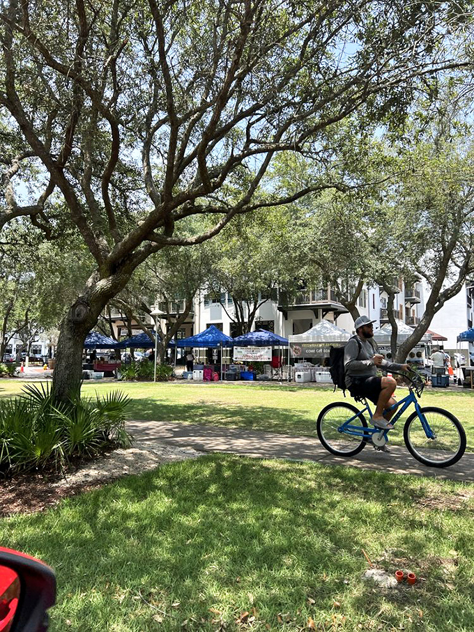 Under the shade of sprawling oaks, locals and visitors alike discover the farmers market—Florida's tastiest scavenger hunt.