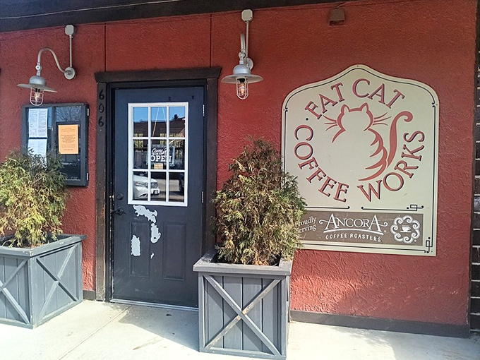 Fat Cat Coffee Works proves great coffee doesn't need big-city pretension – just a cozy red building and locally roasted beans.