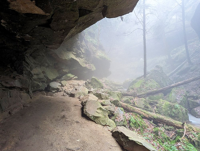 Morning fog transforms the trail into something from a fantasy novel—half expecting to see elves or at least a very confused postal worker.