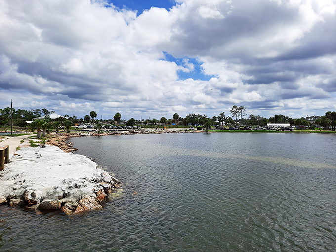 Frank Pate Park offers serene water views that remind you why people fall in love with coastal living. A perfect spot for contemplation.