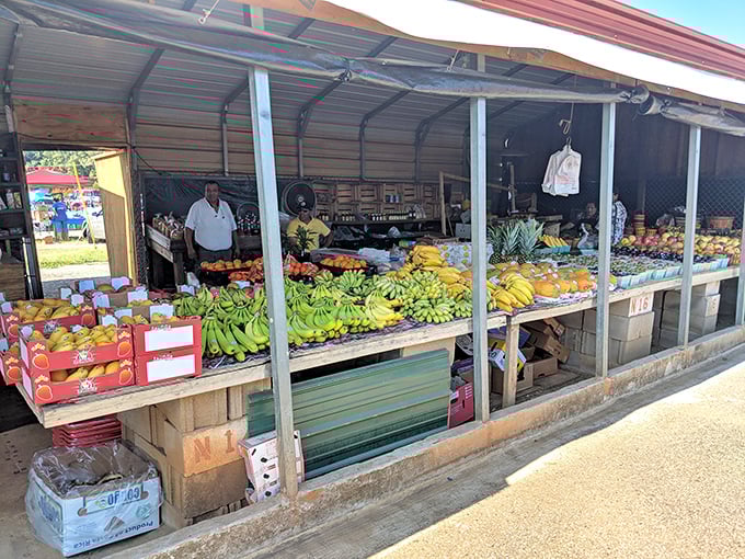 Nature's candy counter! Fresh-picked produce from local farms offers a rainbow of flavors that make grocery store offerings pale in comparison.