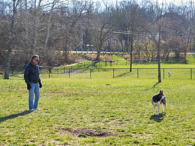 Man's best friend enjoying man's best invention—open space. This dog park offers canine citizens the freedom to be their authentic, tail-wagging selves.