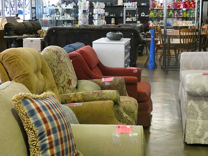 The chair lineup looks like a furniture family reunion—each with its own personality, waiting for you to decide which one belongs in your living room.