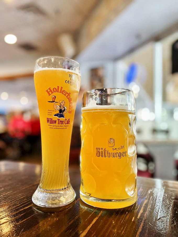 German beer isn't just a beverage—it's liquid history. These golden treasures represent centuries of brewing perfection, served in vessels worthy of their contents.