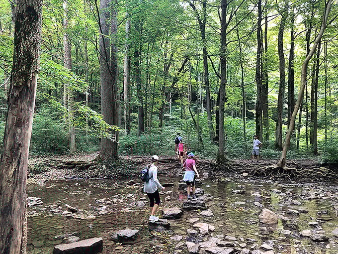 Glen Helen's creek crossings turn ordinary hikers into temporary adventurers, hopping from stone to stone like kids playing an ancient game.