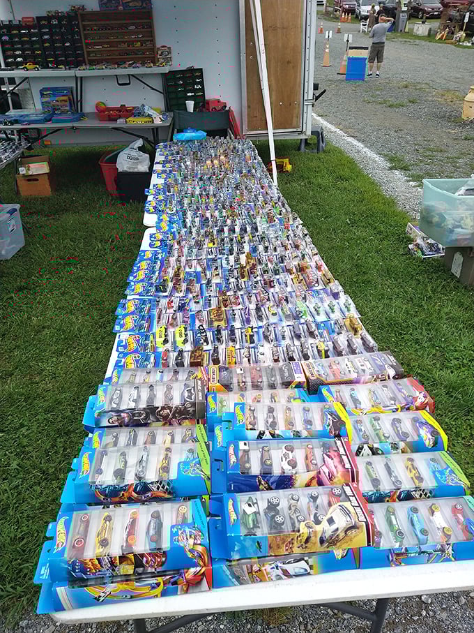 This mesmerizing sea of Hot Wheels stretches toward the horizon, each tiny car representing some collector's childhood dream or adult's passionate pursuit.