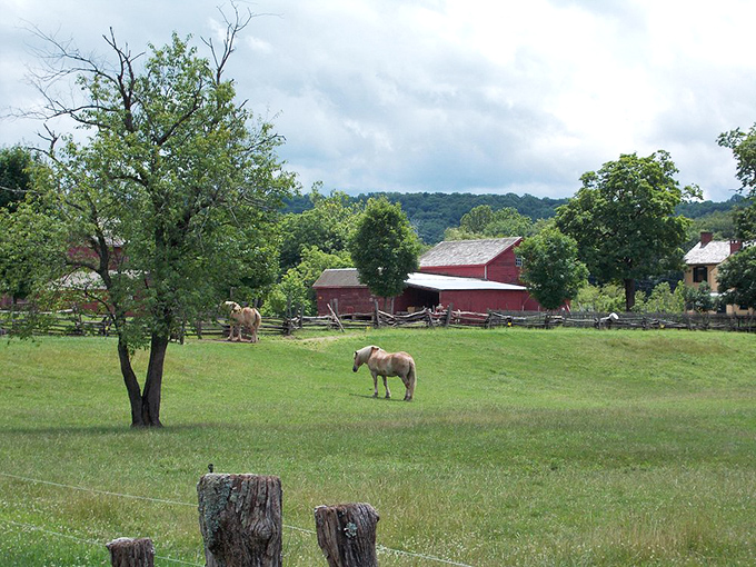 Rural tranquility just minutes from downtown—these grazing horses don't know they're part of a living postcard of pastoral perfection.