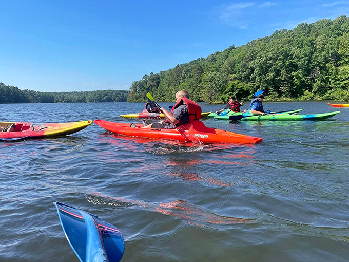 Kayaking the calm waters in technicolor vessels—like a floating box of crayons. Even the fish below must be impressed by this cheerful aquatic parade.