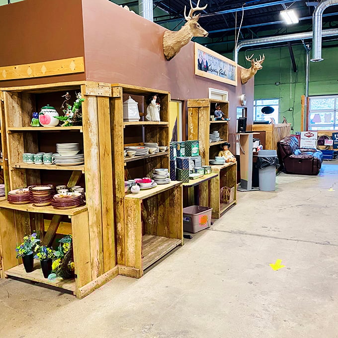 Rustic wooden shelving displays dinnerware collections that could tell stories of family gatherings spanning decades. Your table's history awaits. 