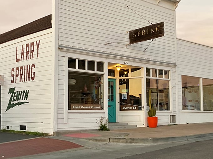 The Larry Spring Museum promises "Lost Coast Found" – a delightfully eccentric dive into the kind of physics that makes perfect sense after two beers.