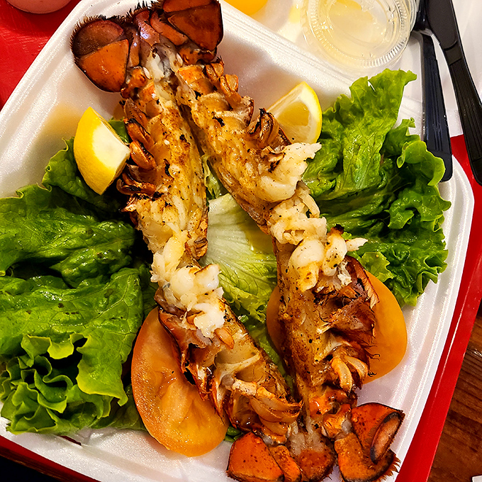 Lobster tails basking on crisp lettuce—the ocean's royalty taking a well-deserved vacation to the Arizona desert.