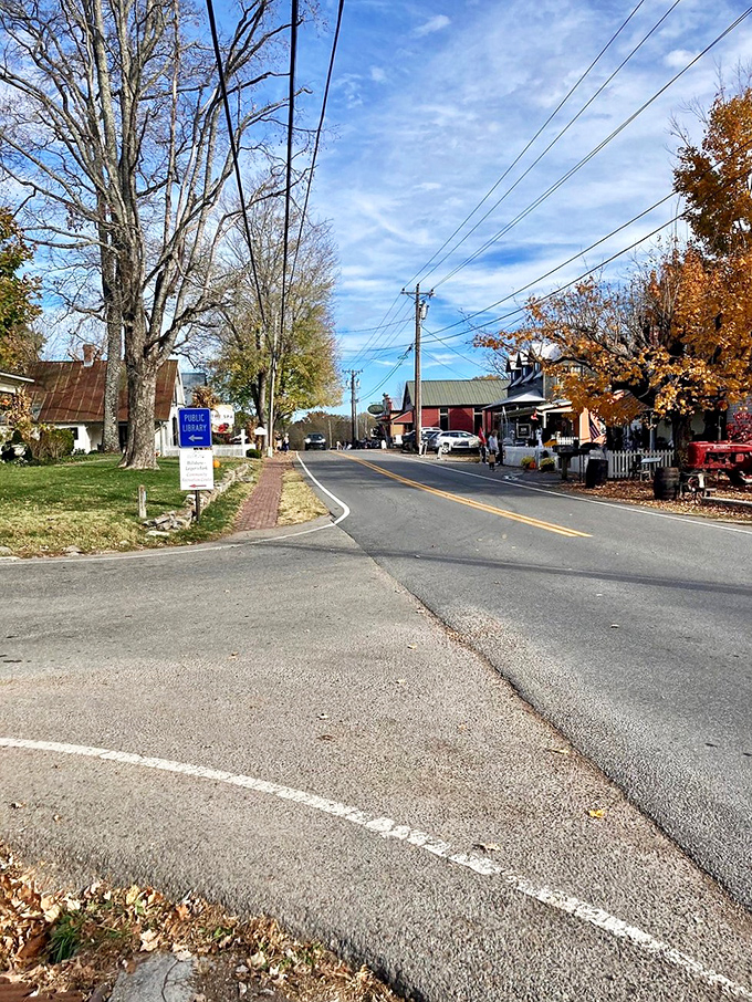 Autumn in Leiper's Fork paints the perfect Tennessee palette – crisp air, golden leaves, and a road that beckons you further in.