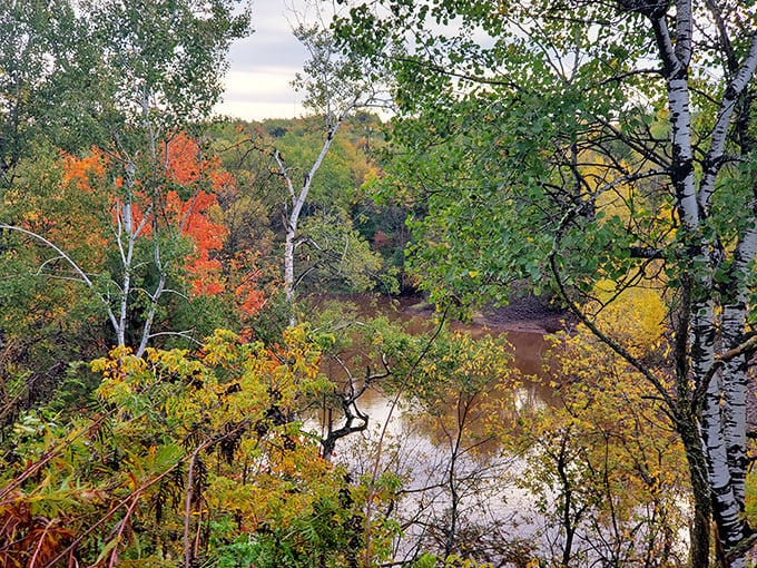 Autumn paints the Montreal River valley with a palette that would make Bob Ross weep with joy—happy little trees indeed.