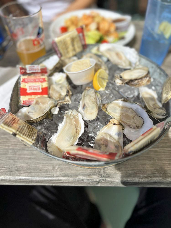 Fresh oysters on ice—nature's perfect appetizer. These briny treasures need nothing more than a squeeze of lemon and good company.