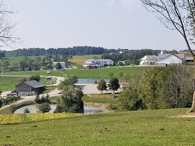The quintessential Amish Country landscape—where perfectly maintained farms make your meticulously mowed suburban lawn look like amateur hour.