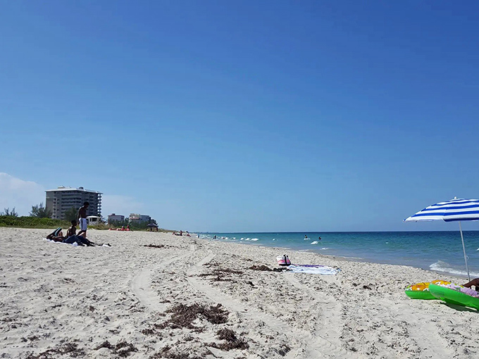 The beach less traveled offers what we're all really seeking – space to breathe, room to roam, and waves that don't come with a side of humanity.
