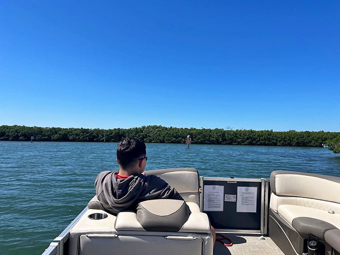 Navigating mangrove tunnels by pontoon boat—nature's version of a theme park ride, minus the long lines and overpriced snacks.