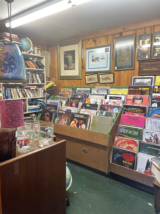 Vinyl heaven! Albums that once soundtracked first kisses and road trips now wait for new turntables and fresh appreciation from both nostalgic boomers and curious millennials.