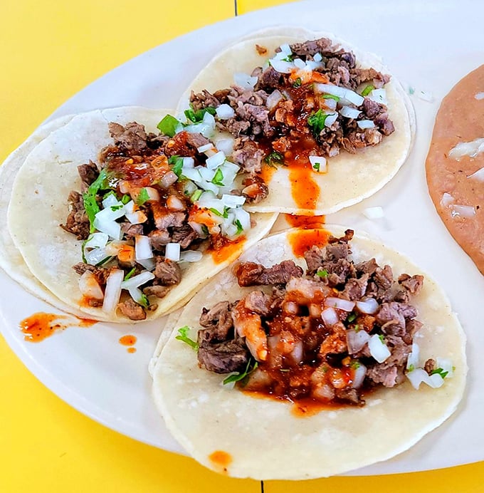 Taco simplicity at its finest. Meat, onions, cilantro, and a splash of salsa—proof that less is often magnificently more.