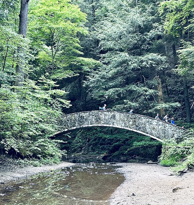 This stone bridge has witnessed countless first dates, family photos, and the occasional "I thought you brought the snacks" argument.