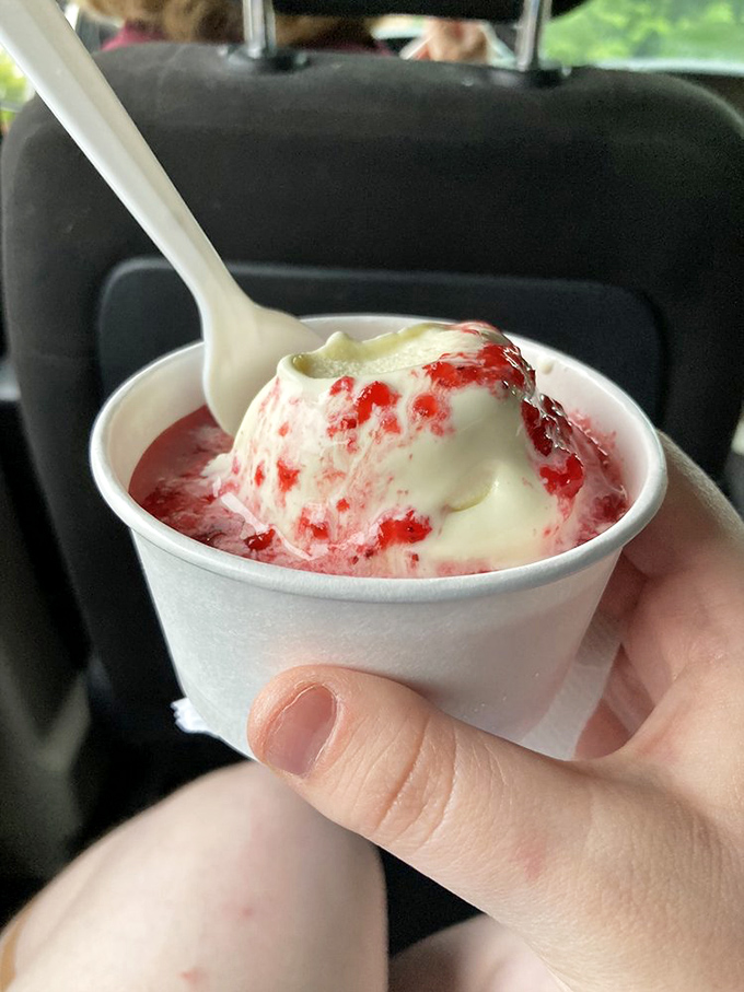 Strawberry swirls dancing through vanilla custard like a berry ballet. This isn't just a sundae—it's summer in a cup.