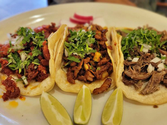 Authentic tacos don't need to shout with excess toppings—just perfectly seasoned meat, fresh cilantro, diced onion, and lime wedges standing by for duty.