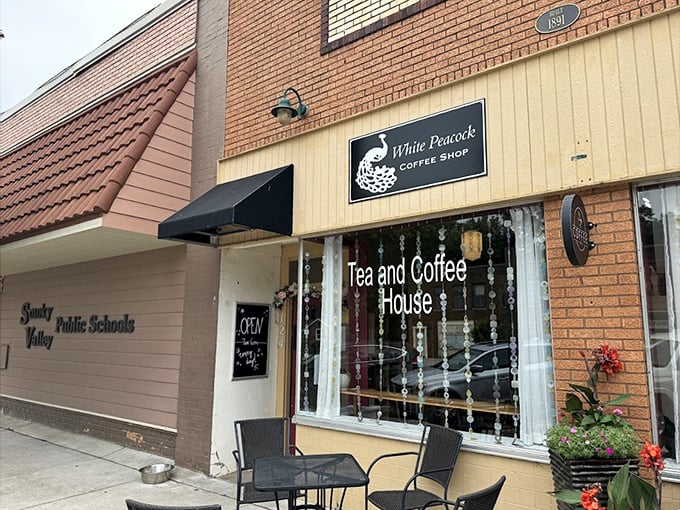 The White Peacock offers liquid salvation for caffeine devotees. Those sidewalk tables practically beg you to sit and watch the world stroll by.