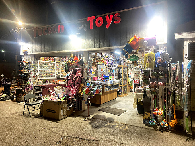 This toy wonderland proves that the best childhood memories are just waiting to be rediscovered again. 