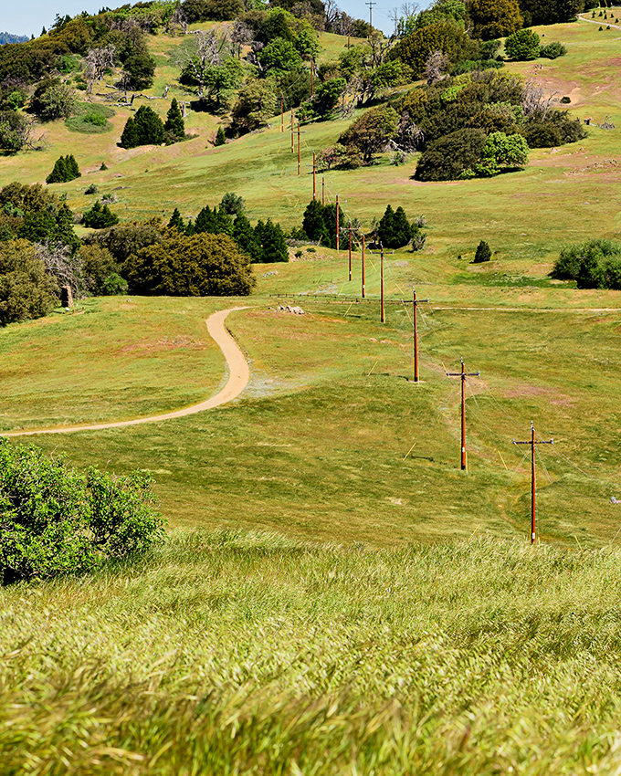 The rolling hills of Volcan Mountain County Preserve offer hiking trails with views that stretch from mountain to desert – California's diversity on display.