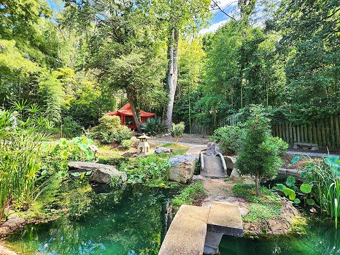 The Wells Japanese Garden offers a tranquil oasis where koi fish live better lives than most humans—swimming, eating, and philosophizing all day.