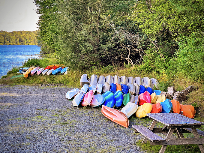 A rainbow armada awaiting adventure-seekers. These colorful kayaks aren't just boats—they're tickets to explore hidden coves and secret shorelines.