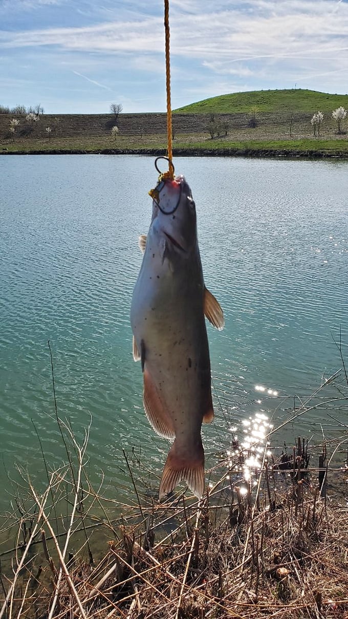 The catch of the day—and possibly the week! Stonelick's waters reward patient anglers with impressive specimens that make for great photos and even better stories.
