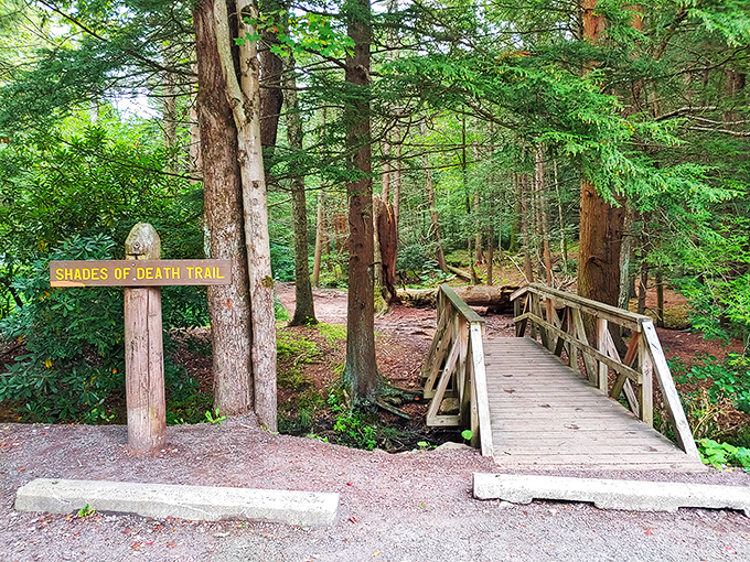 The ironically named "Shades of Death Trail" begins with this charming bridge—like naming a fluffy kitten "Destroyer of Worlds." Pure Pennsylvania humor.