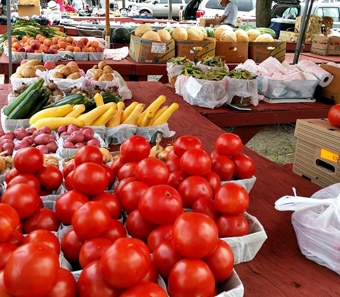 Summer's bounty sprawls across sun-warmed tables—these tomatoes haven't spent a week in cold storage wondering what they did to deserve such treatment.