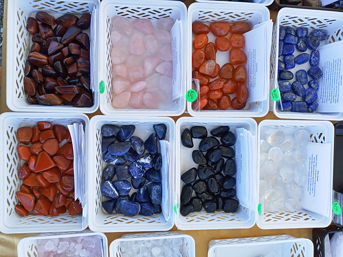 Nature's jewelry box, opened for all to see. These polished stones capture millions of years of geological magic in containers you could carry home in one hand.