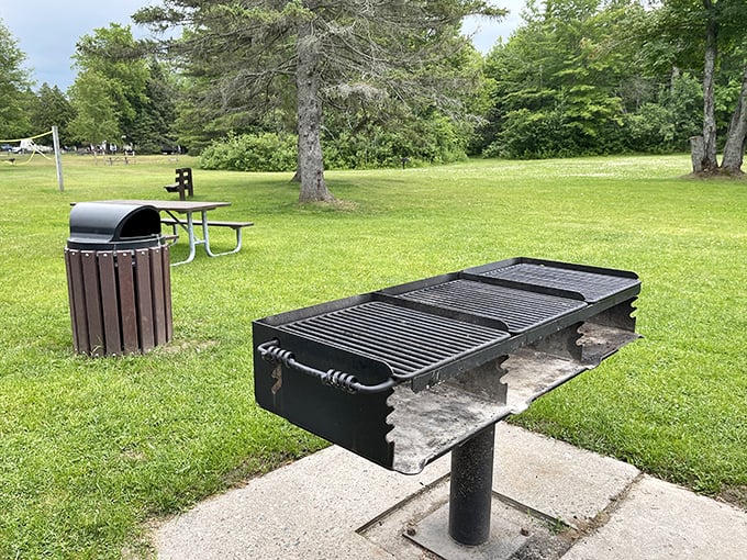 The humble park grill—where ordinary hot dogs transform into "artisanal outdoor cuisine" with a side of fresh air.